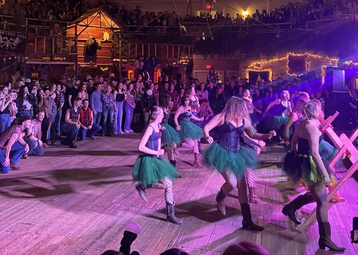 Rebranding the ‘world’s largest tree fort’
